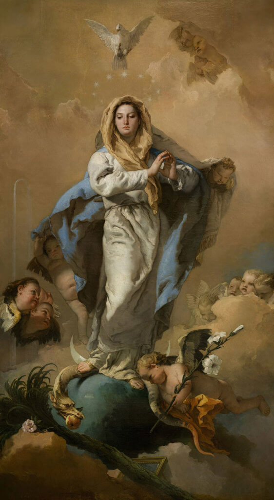 Defining the Definition of the Immaculate Conception - Relevant Radio