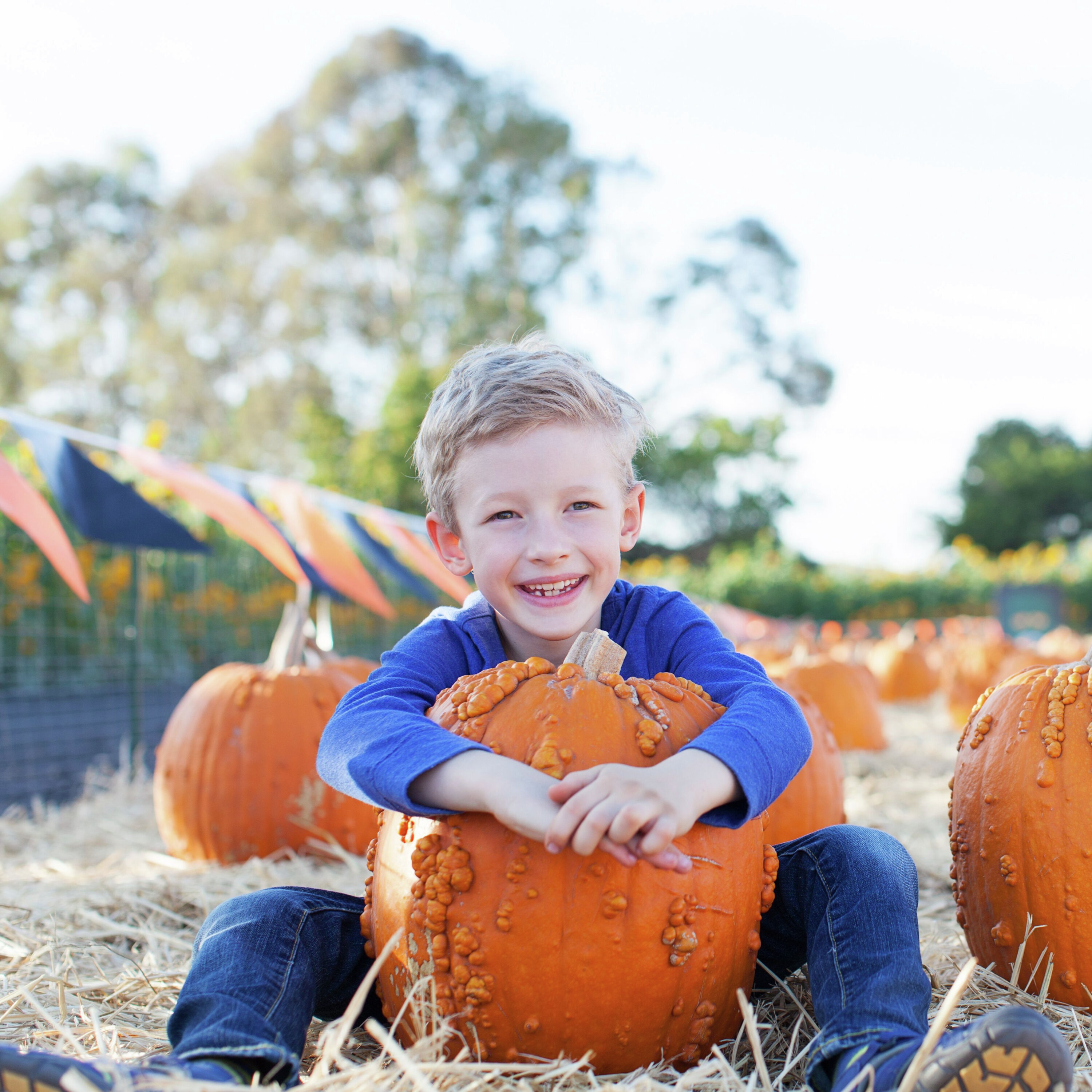Is Halloween a Pagan Holiday? (The Patrick Madrid Show) - Relevant Radio
